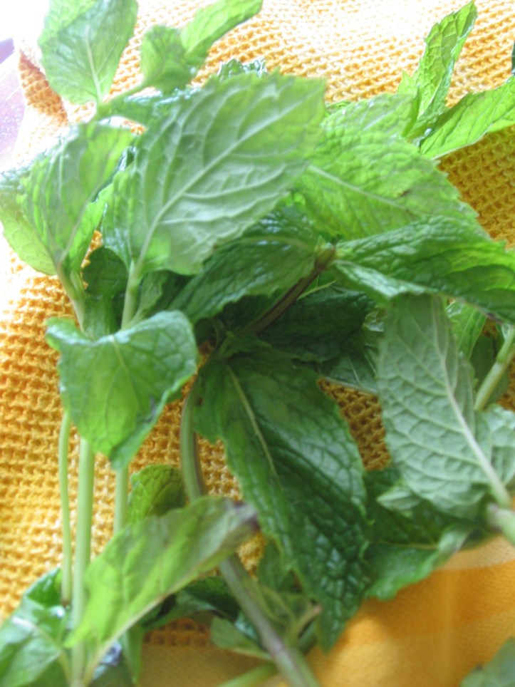 Refreshing Mint Juleps – Minced