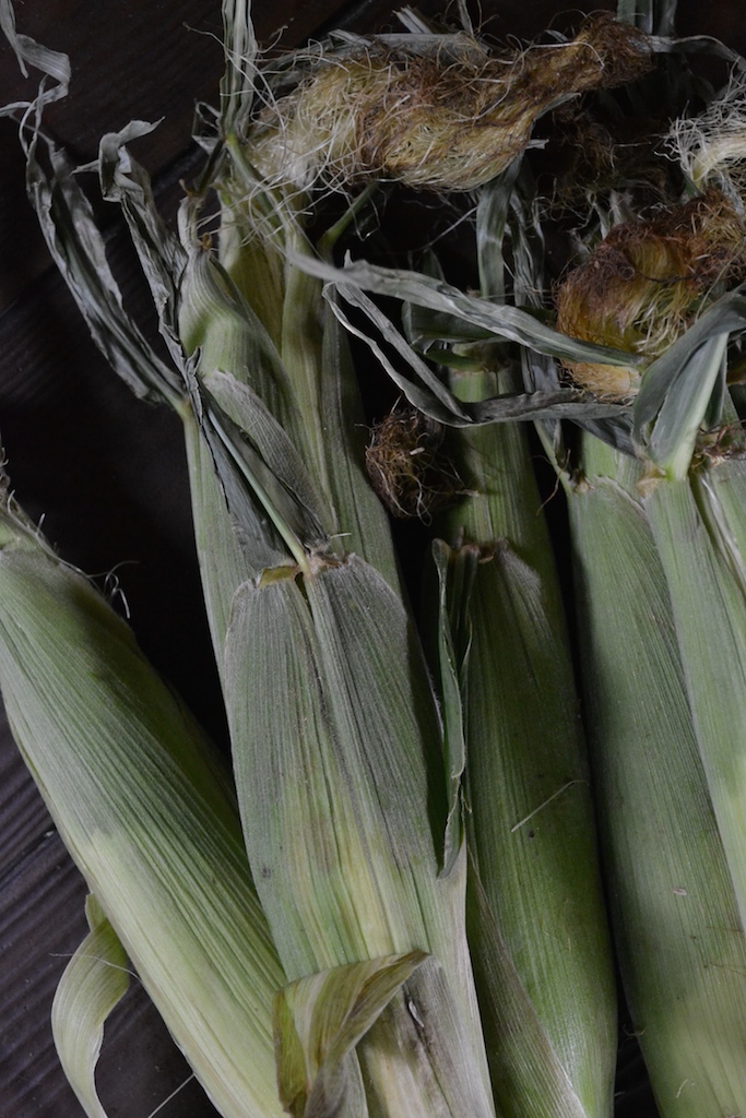 corn close-up – Minced