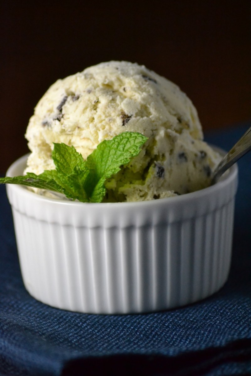 Mint-Chocolate Chip Ice Cream – Minced
